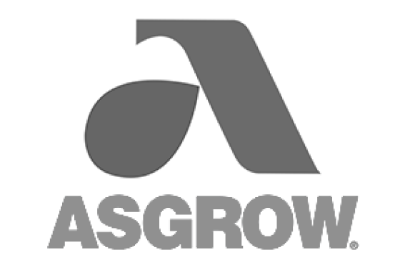 Bahia - Fueled by People