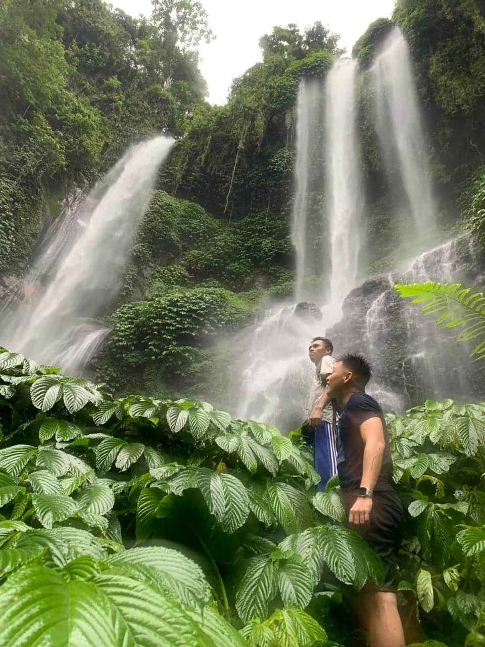 Sekumpul Waterfall Trekking | Bali Sunrise Trekking & Tours