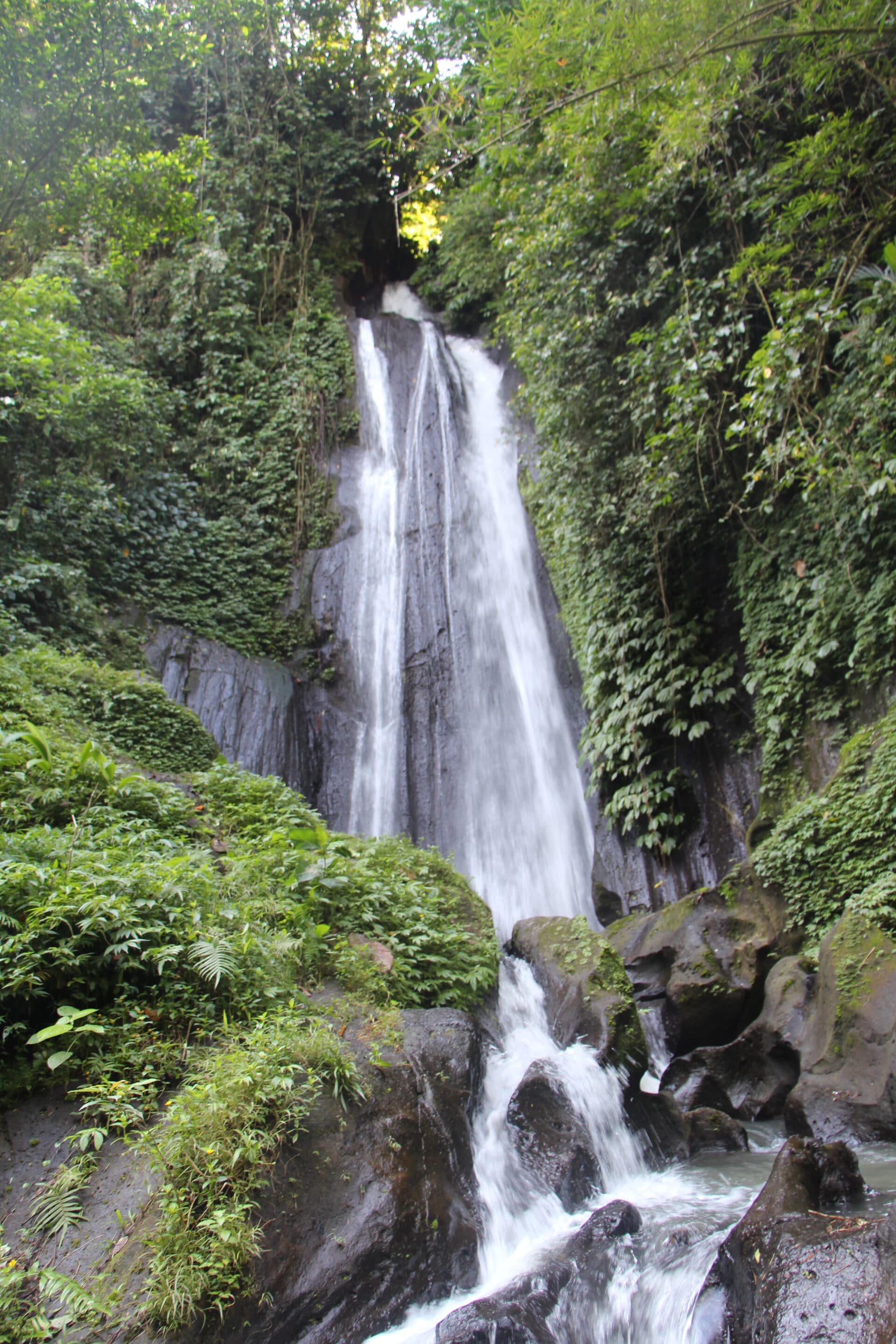 Sekumpul Waterfall Trekking | Bali Sunrise Trekking & Tours