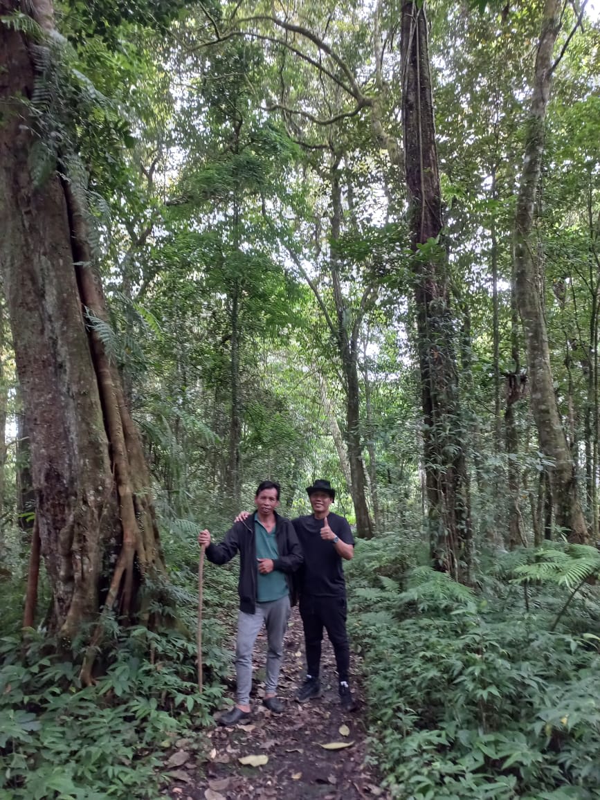 Mount Catur Trekking | Bali Sunrise Trekking & Tours