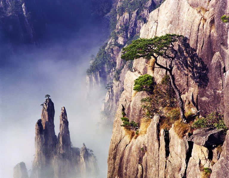 Huangshan Tour, Yellow Mountain China Tour, China Tour to Mt.Huangshan 2018