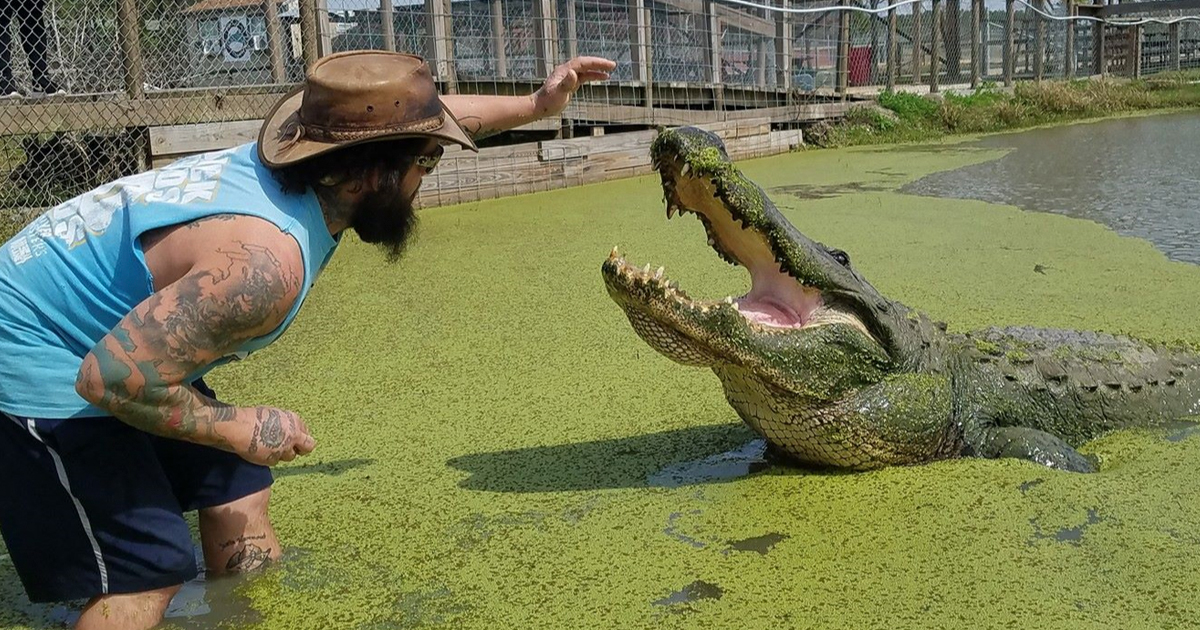 Admission To Gator Country | Houston Marketplace