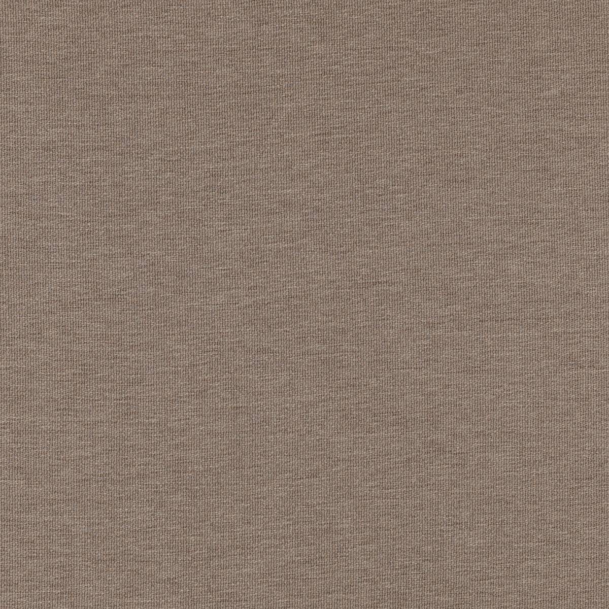 Color Story Neutrals - Baresque