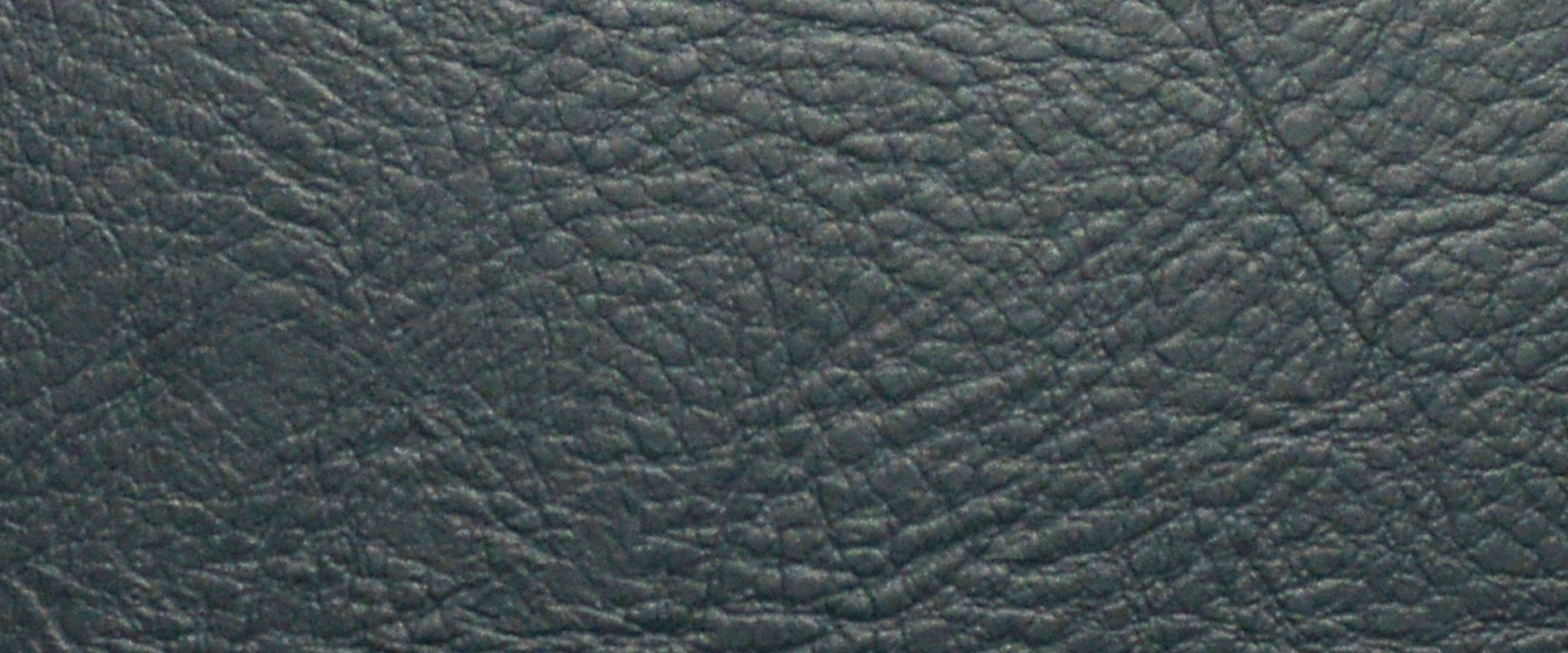 VINTAGE LEATHER - Baresque