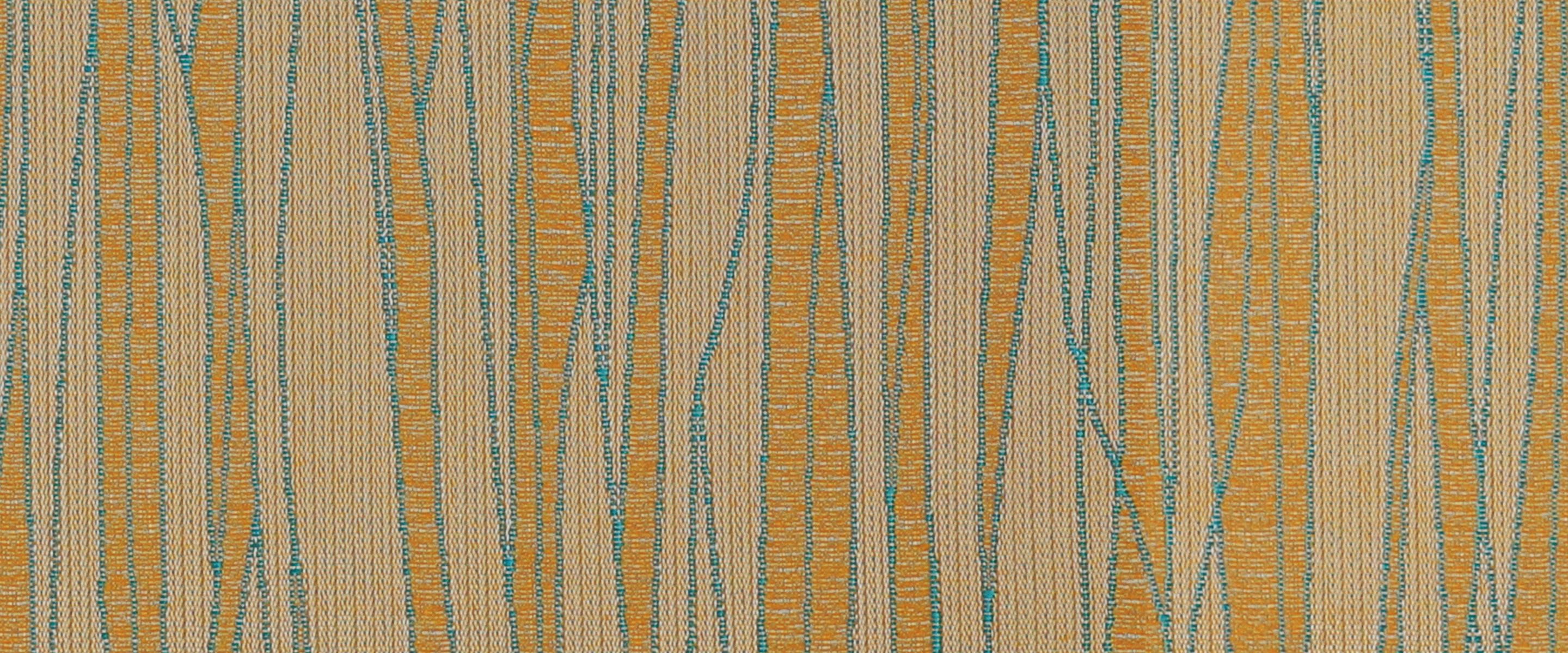 EVERGLADES - Baresque