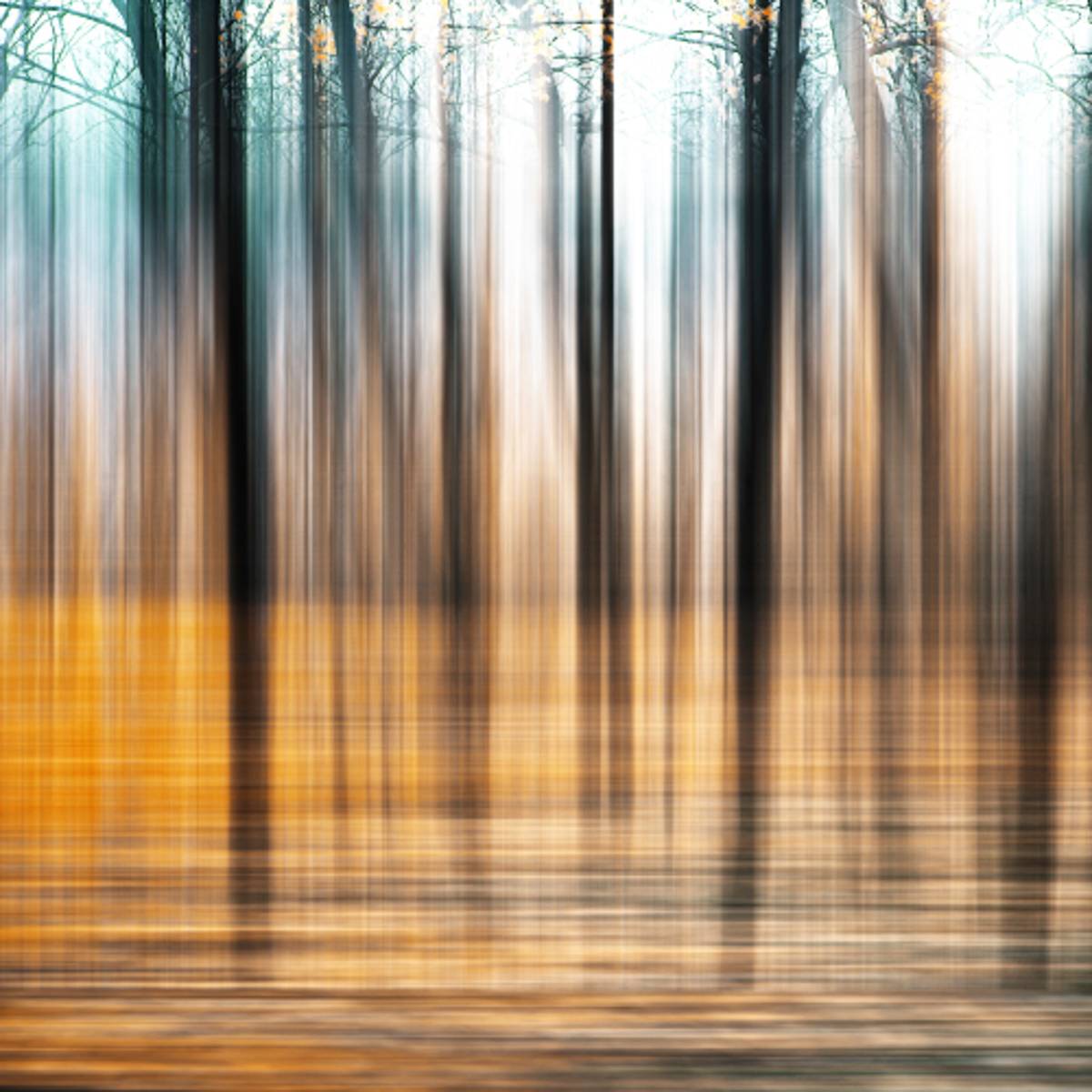 BLURRED LANDSCAPE - Baresque