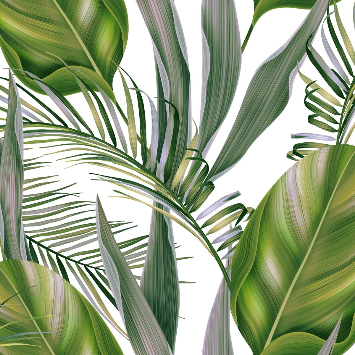 TROPICALITY - Baresque