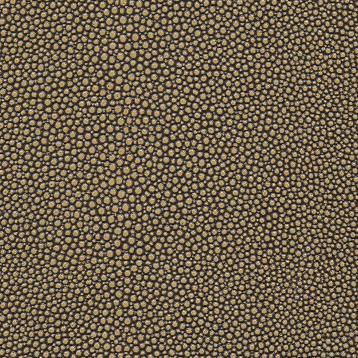 SHAGREEN - Baresque