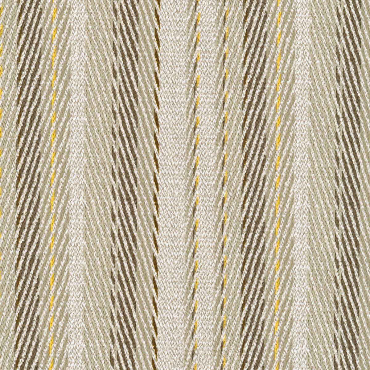 VECTOR AIRE - Baresque