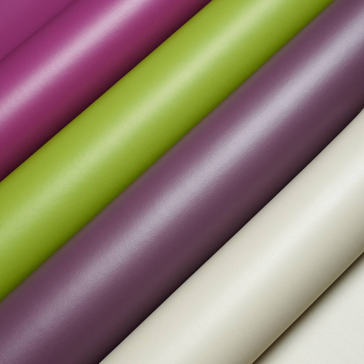 ZEST CADET - Baresque