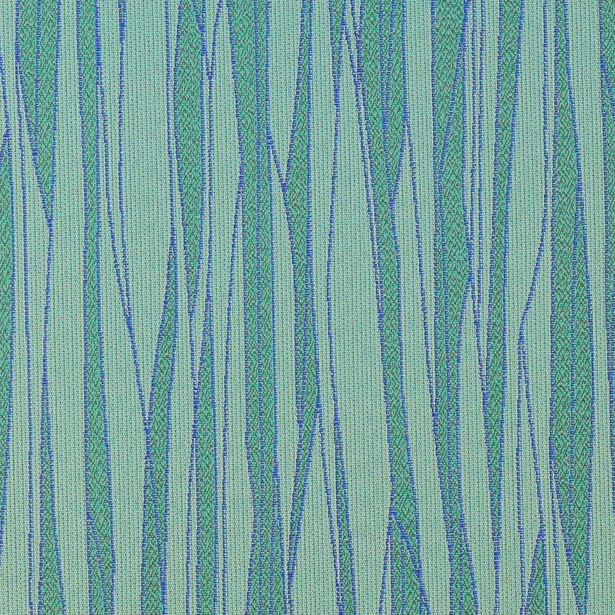 EVERGLADES - Baresque