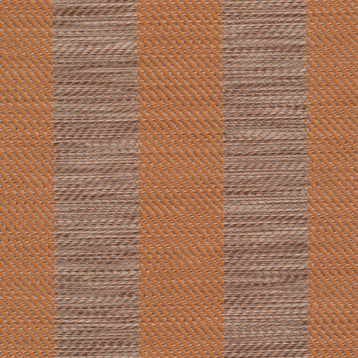 PARALLEL TEKLOOM - Baresque