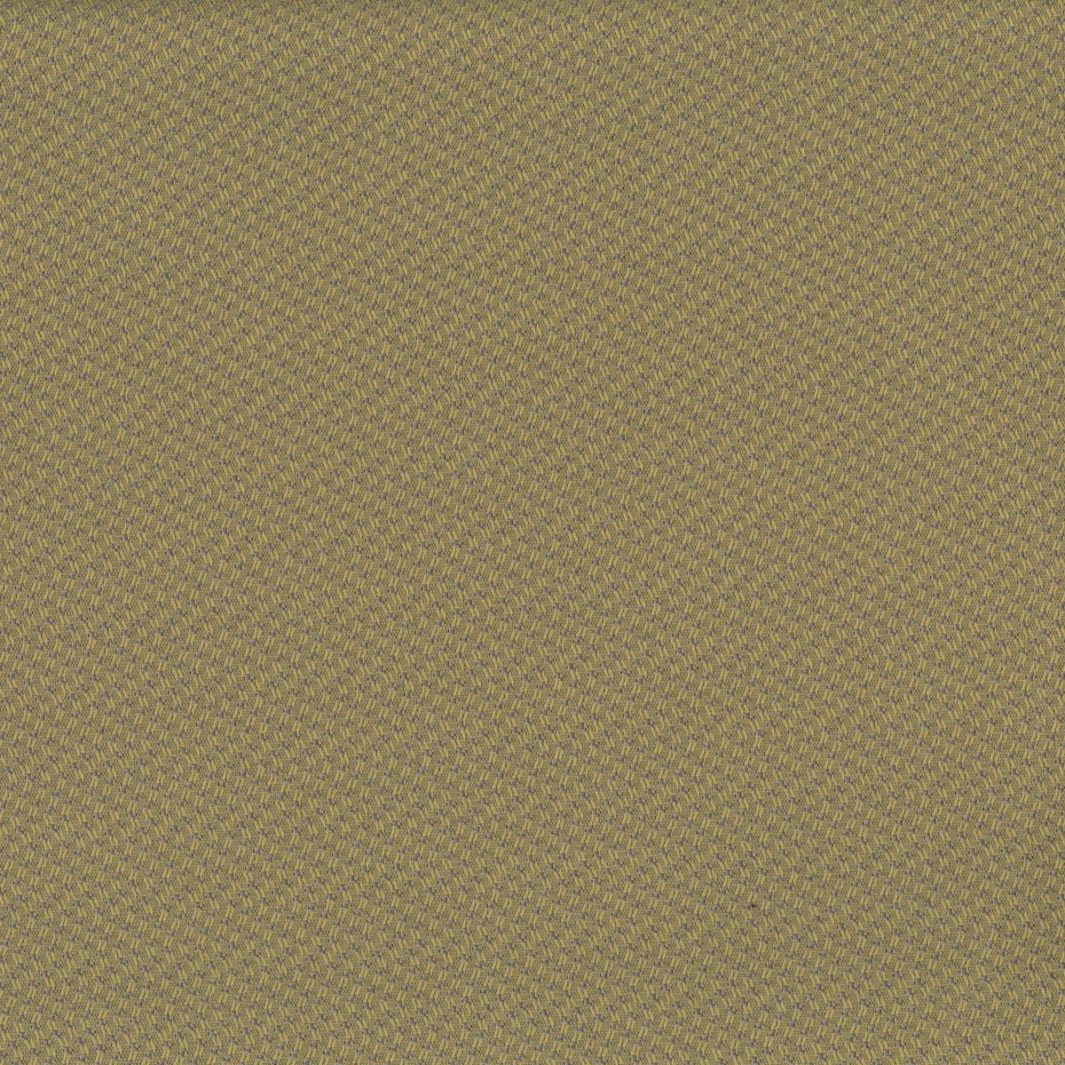 Prairie Trailblazer - Baresque