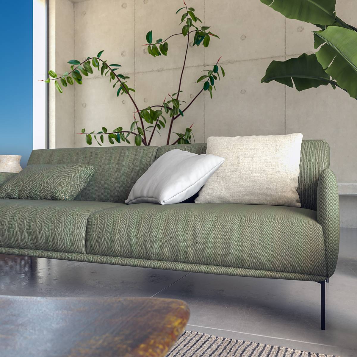 REVIVE TEKLOOM - Baresque