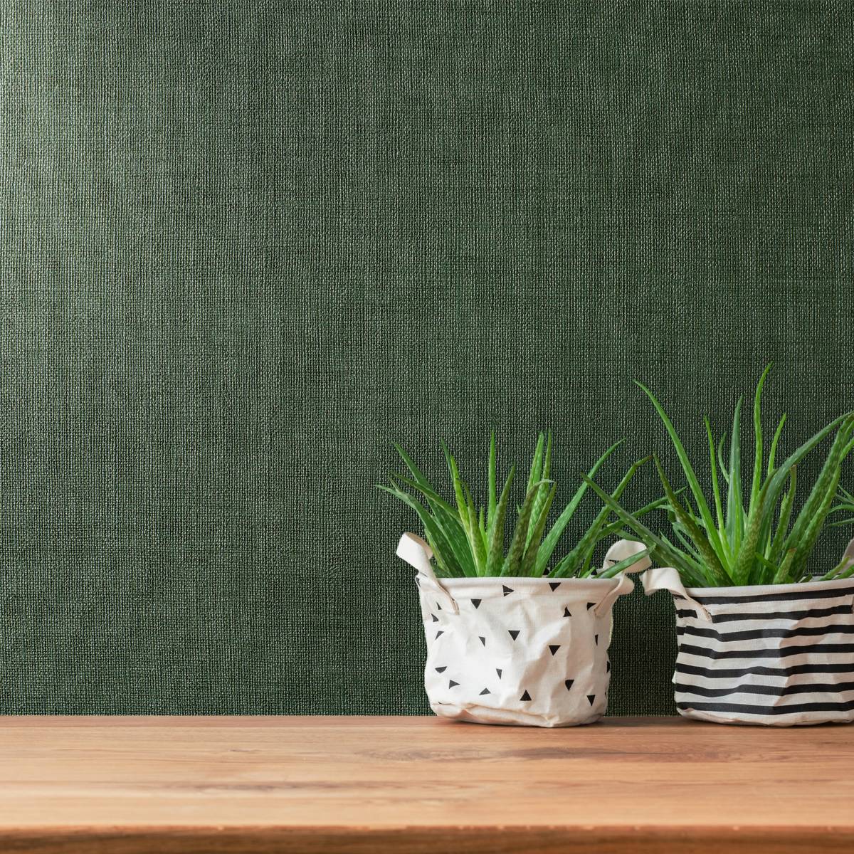 ASTORIA ASL - Baresque