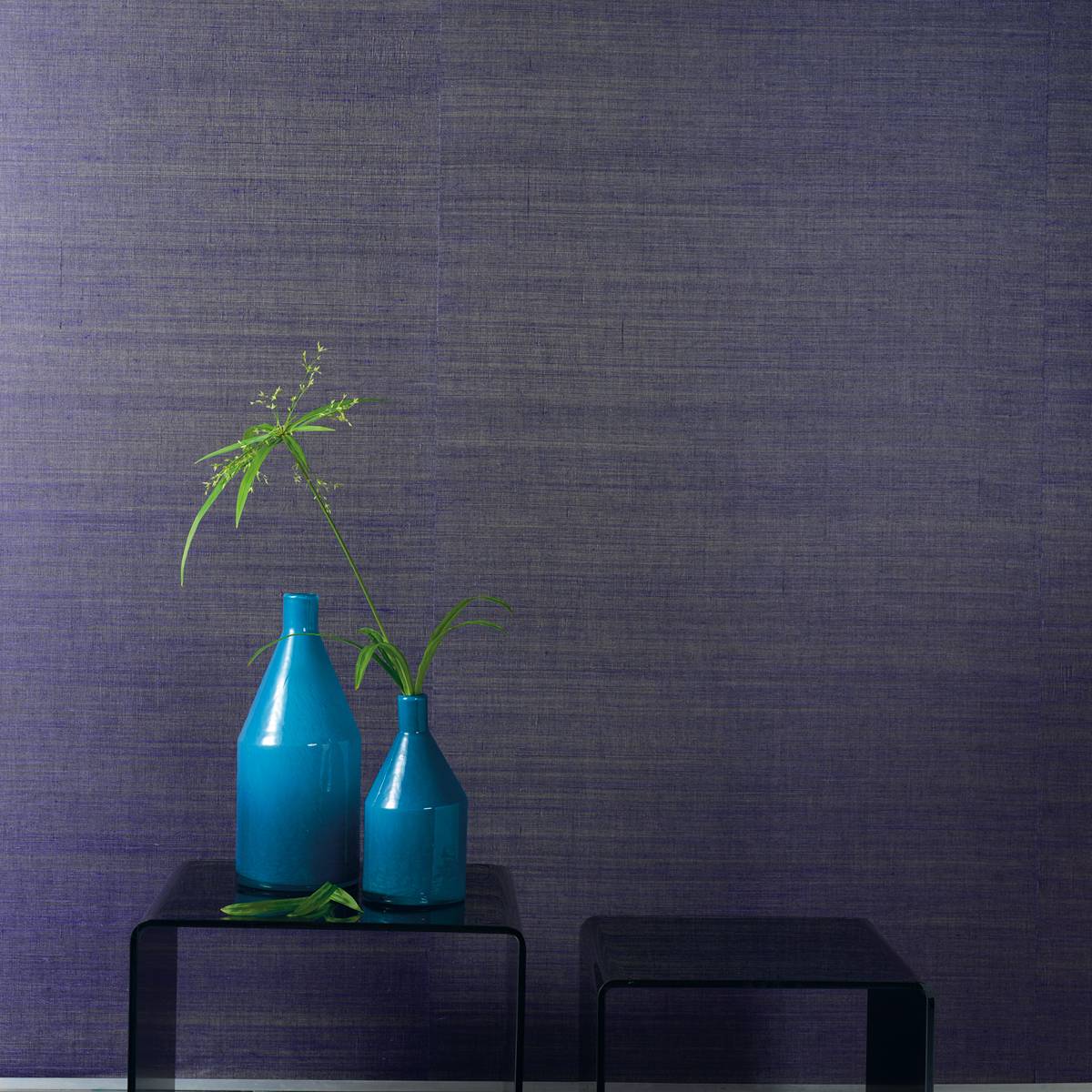 SISAL JUNGLE - Baresque