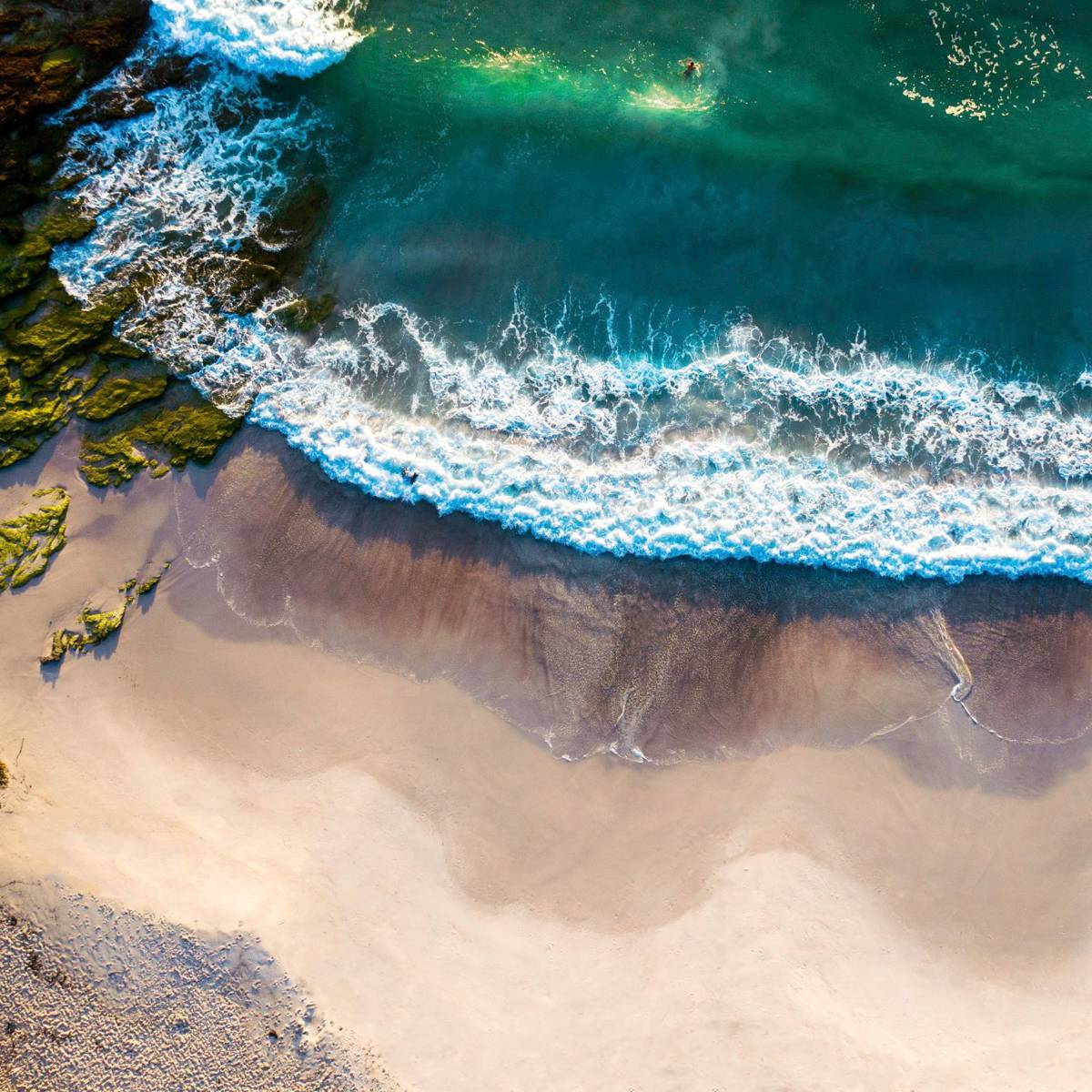 SHORELINE - Baresque