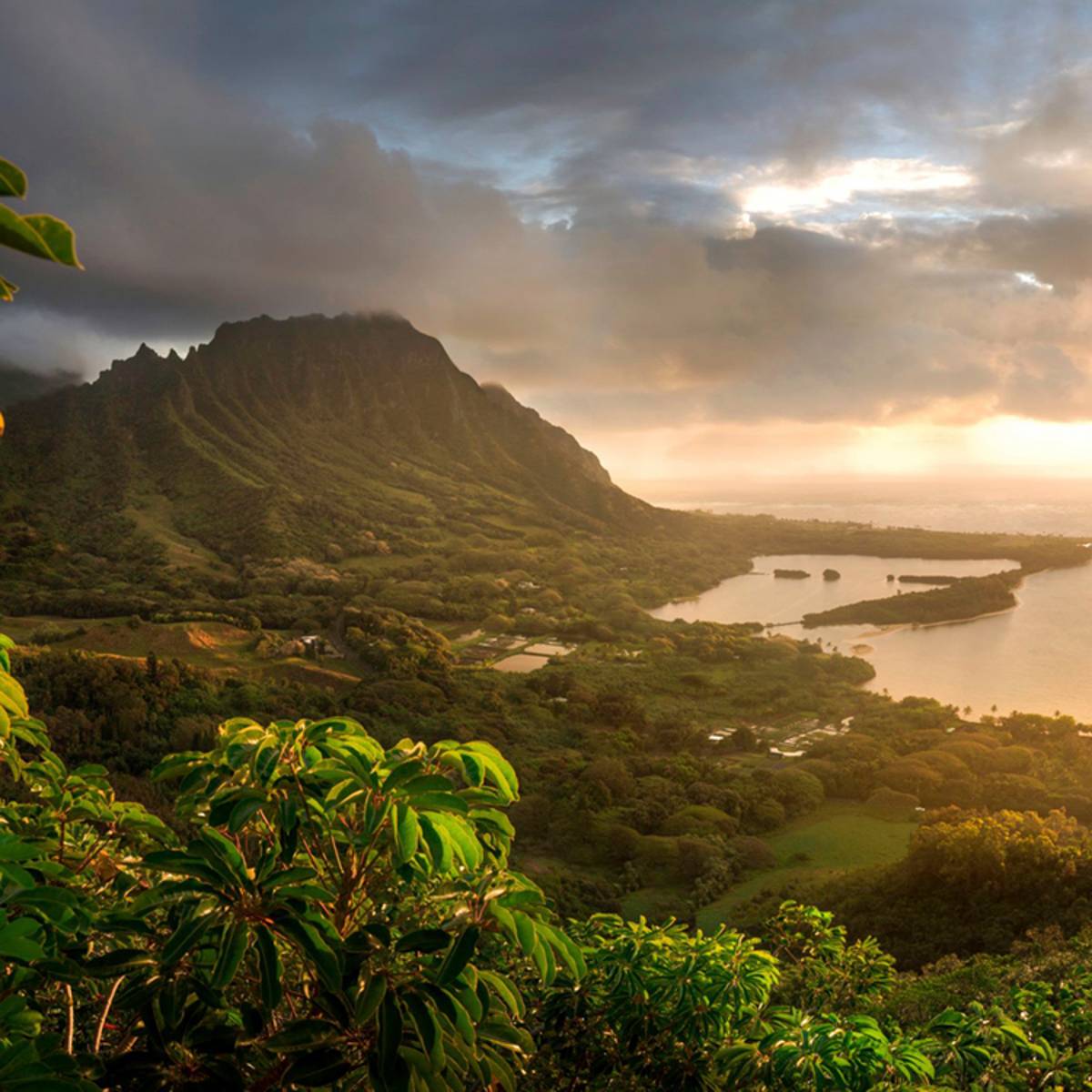 TREASURE ISLAND - Baresque