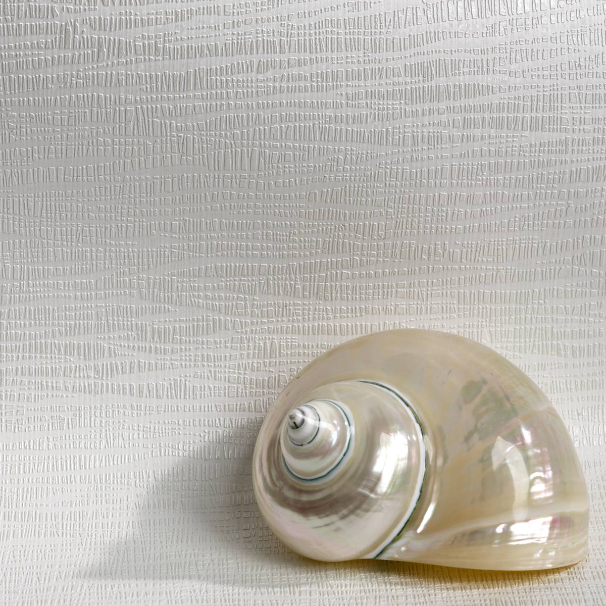 STRIATIONS - Baresque