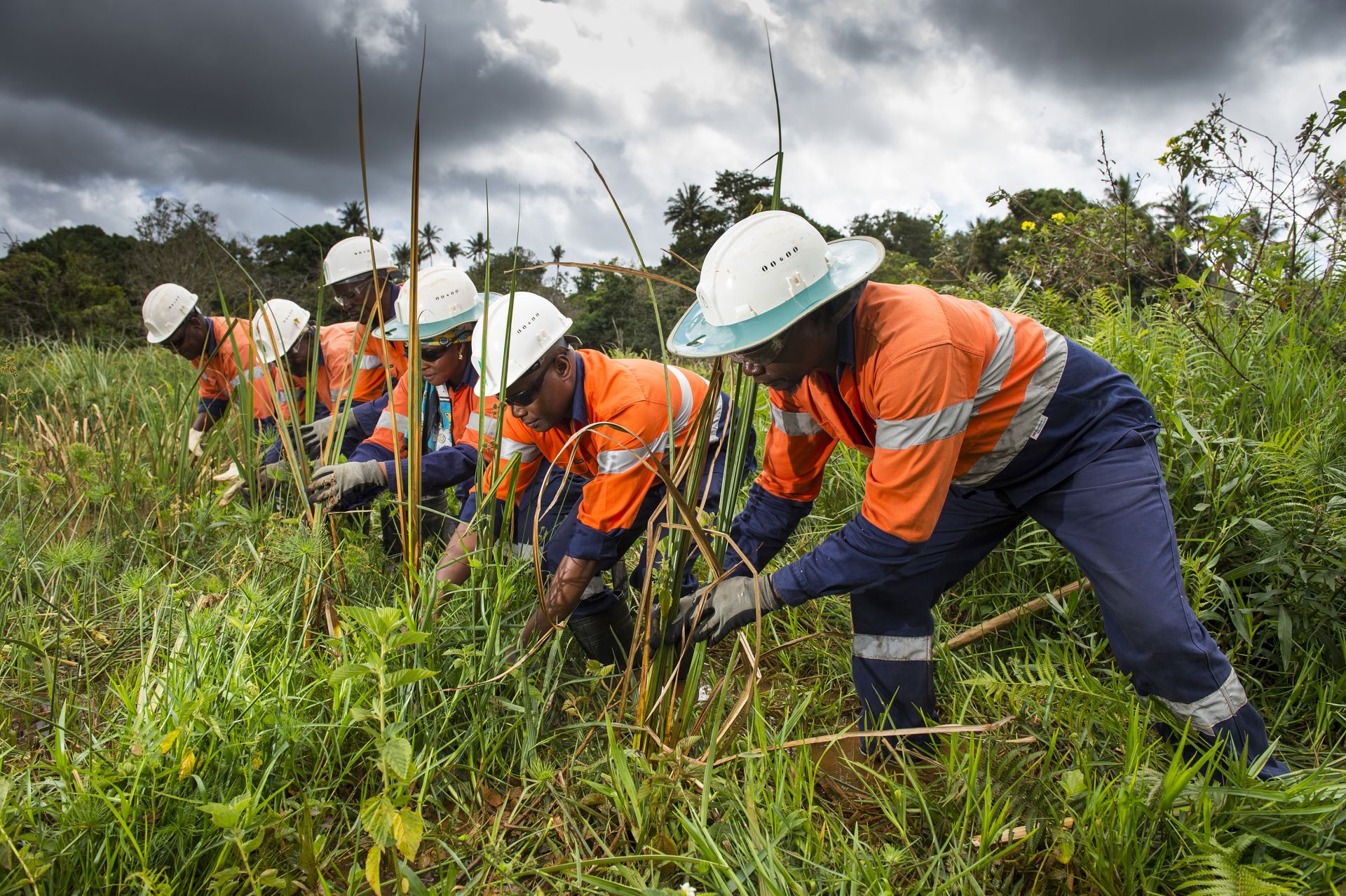 Our Enviromental Conservation Programs - Base Titanium