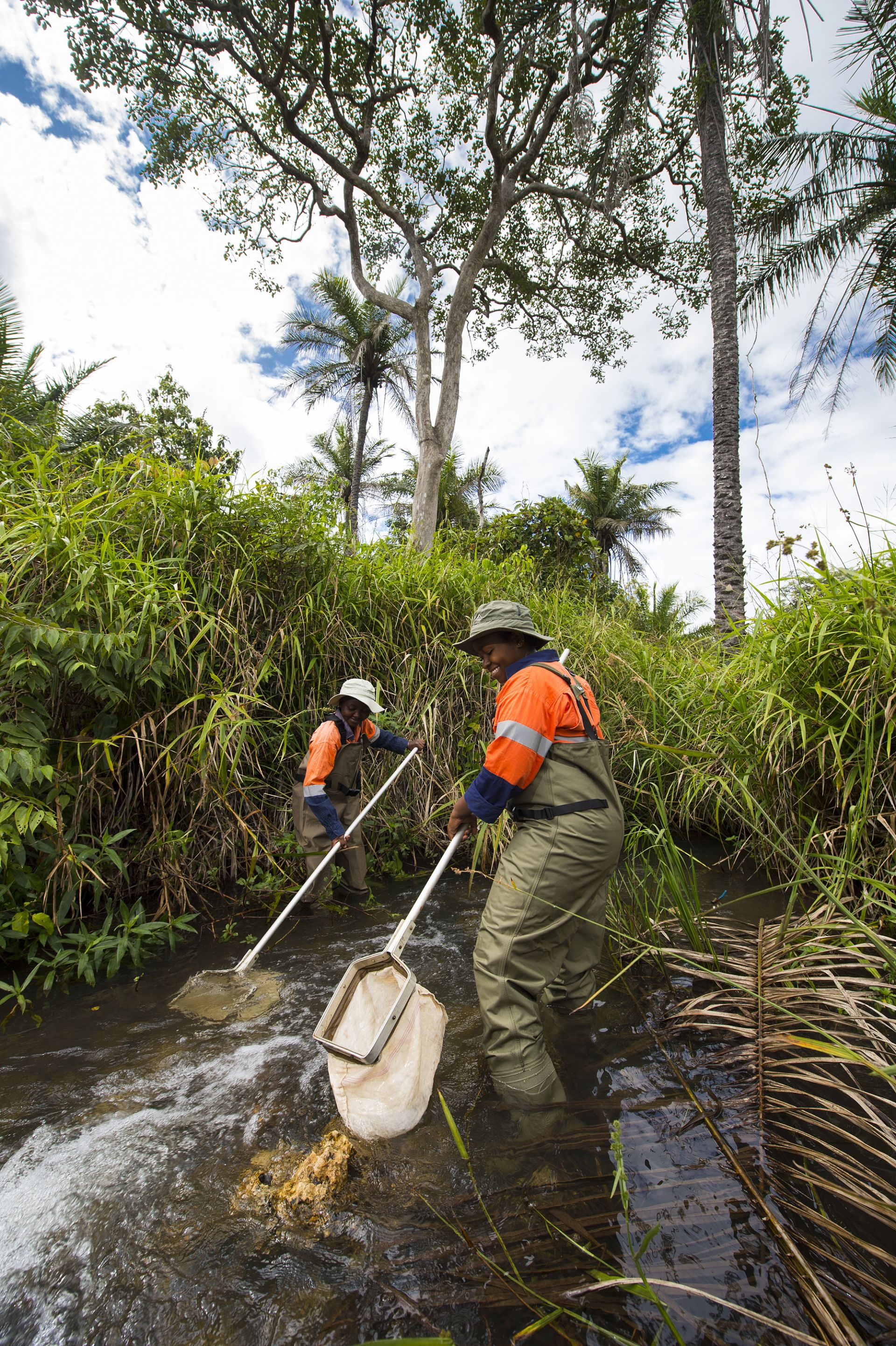 Photography - Base Titanium