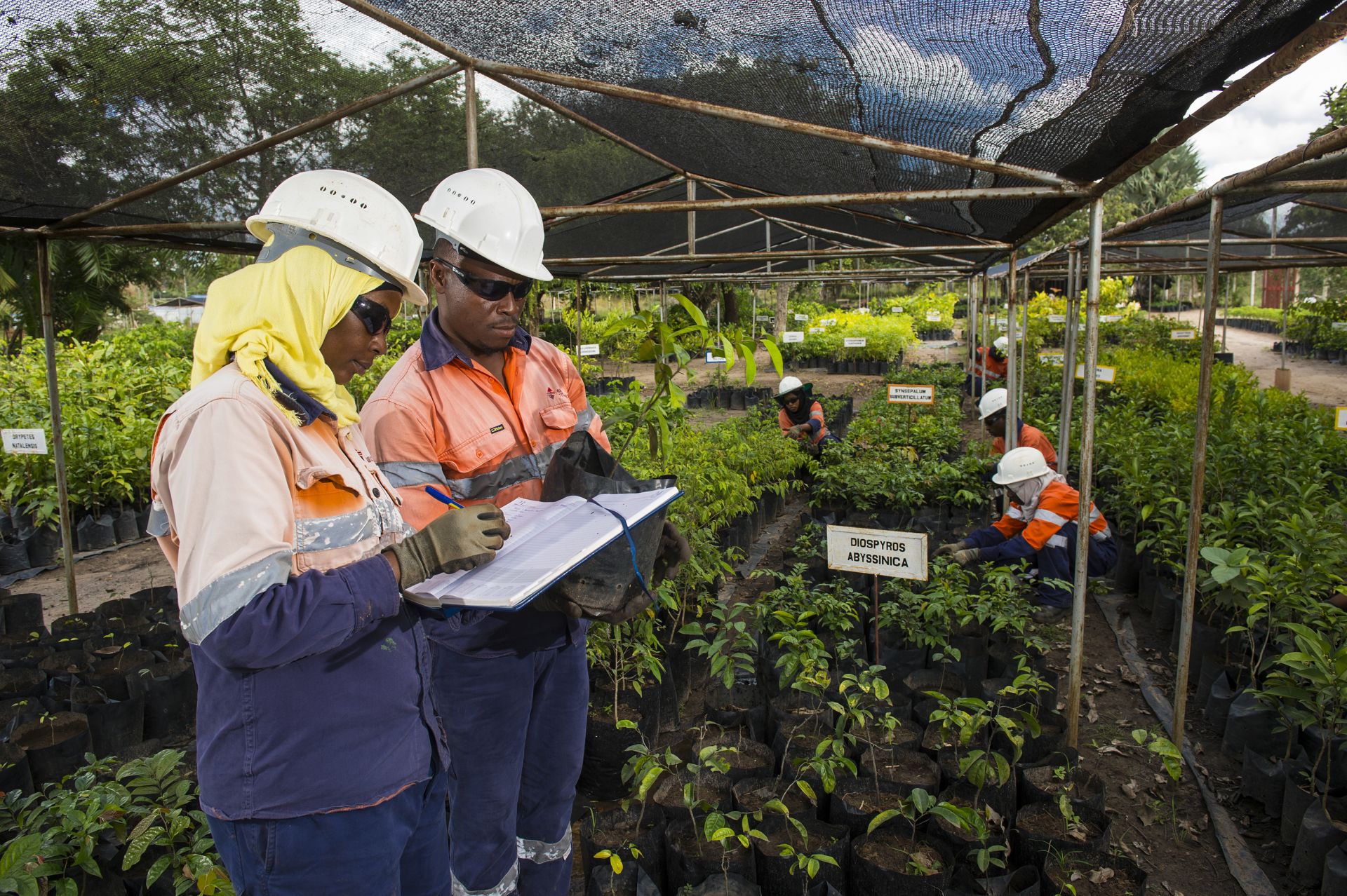 Photography - Base Titanium