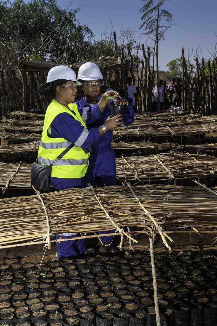 Toliara Project | Base Resources