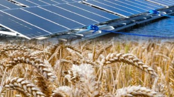 At a Glance | BayWa AG