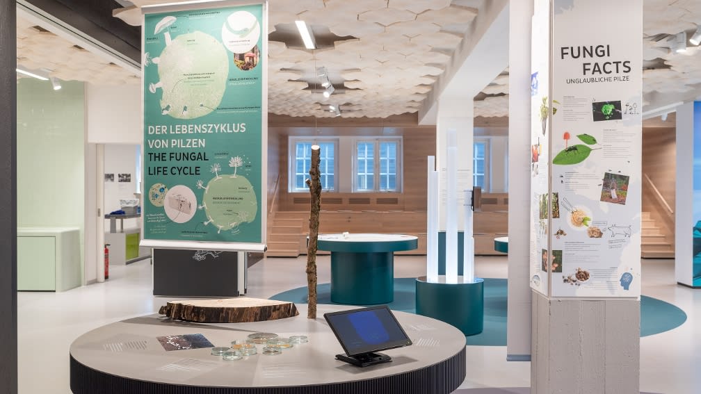 Die Welt der Wissenschaft entdecken im BIOTOPIA Lab | BayWa Stiftung