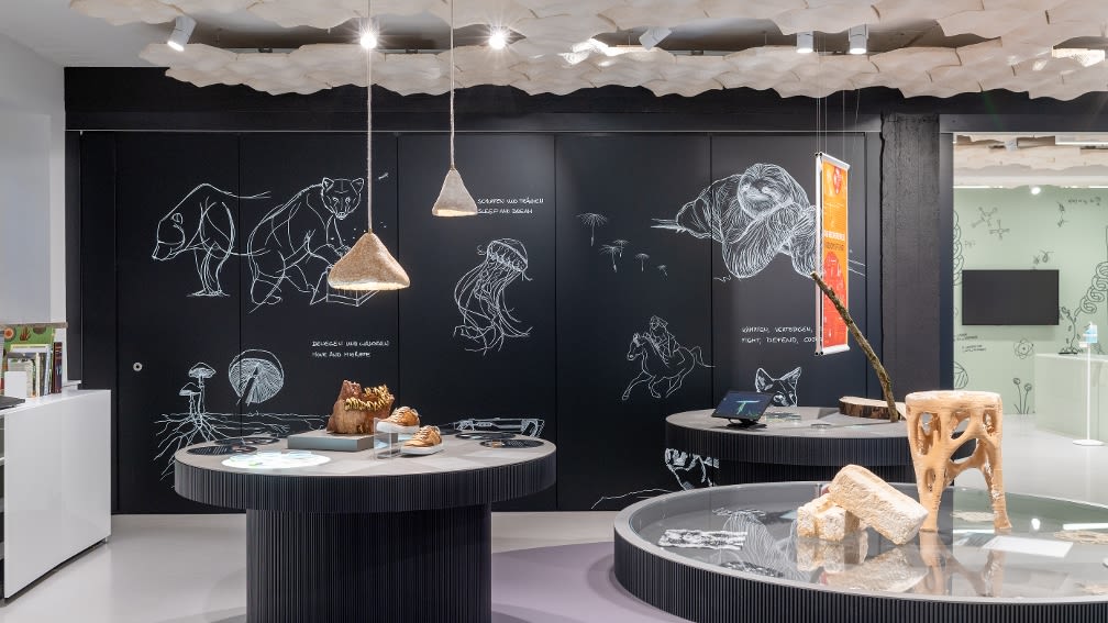 Die Welt der Wissenschaft entdecken im BIOTOPIA Lab | BayWa Stiftung