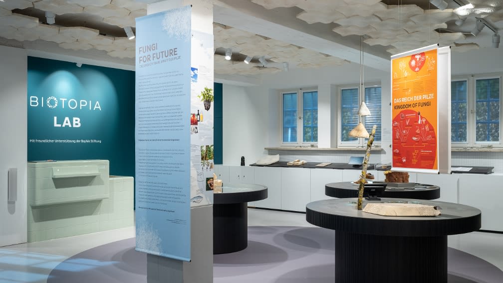 Die Welt der Wissenschaft entdecken im BIOTOPIA Lab | BayWa Stiftung