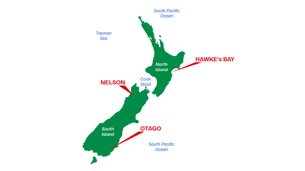 New Zealand Pipfruit | Enzafruit