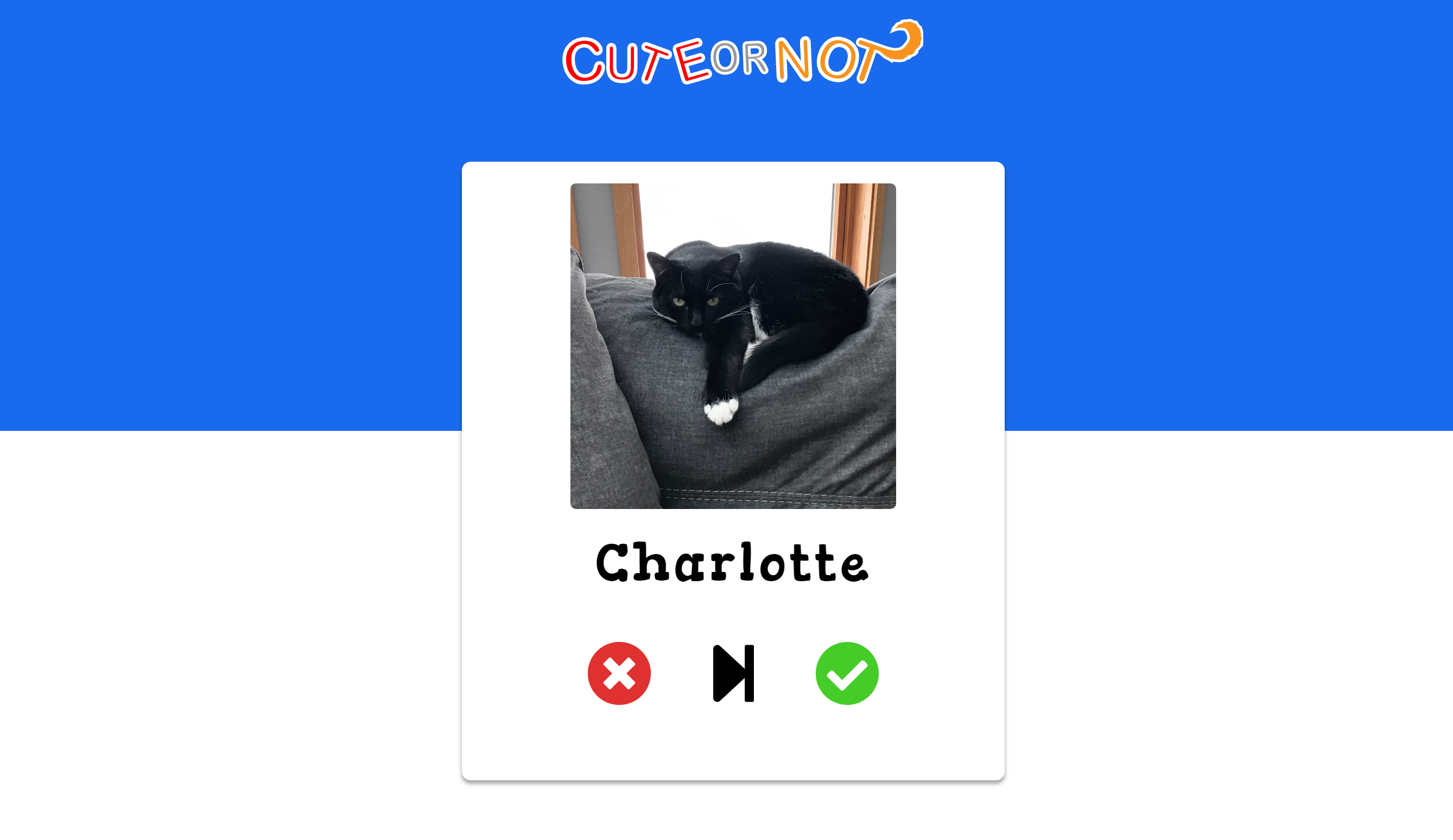 GitHub - mayerxc/cuteornotapp