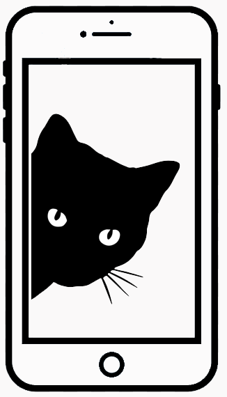 GitHub - PeterGillis/sms-cat