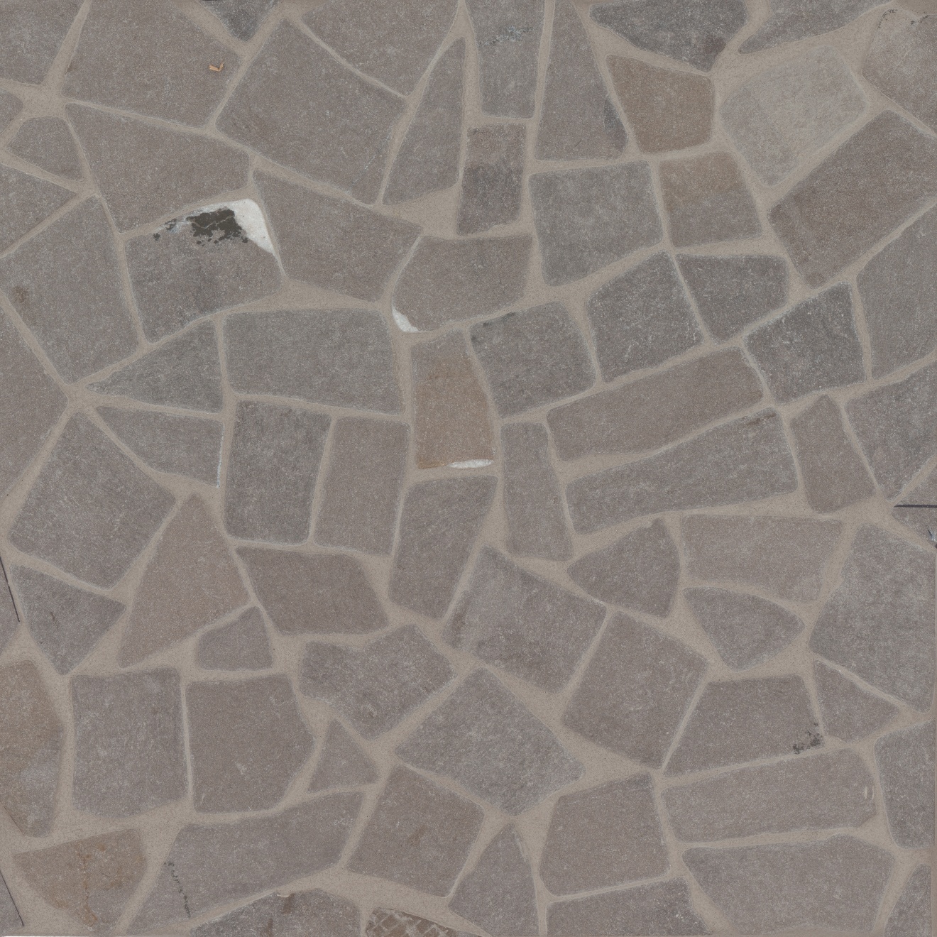 Suave Tumbled Limestone Pezzi Mosaic in Pantera | AlysEdwards