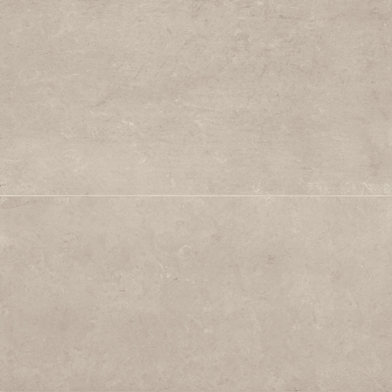 Thaddeus 24" x 48" Matte R11 Anti-Slip Rated Porcelain Tile in Almond ...