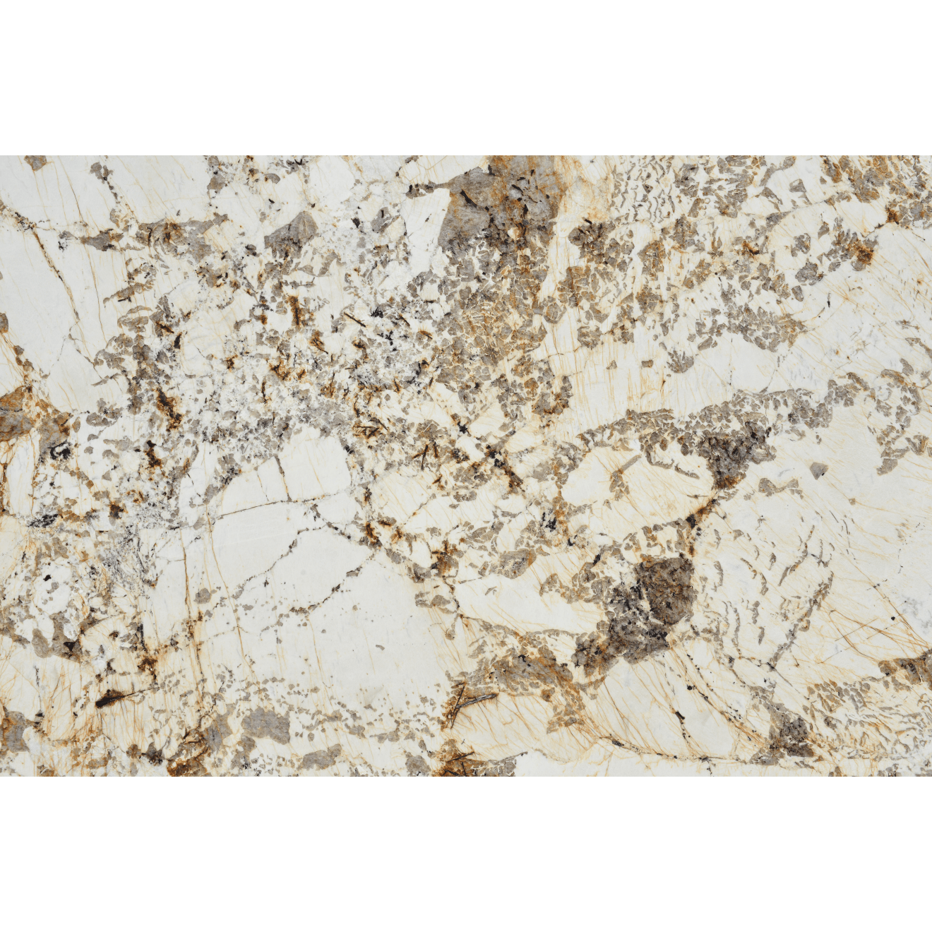Blanc du Blanc Granite in 2cm | Bedrosians Tile & Stone