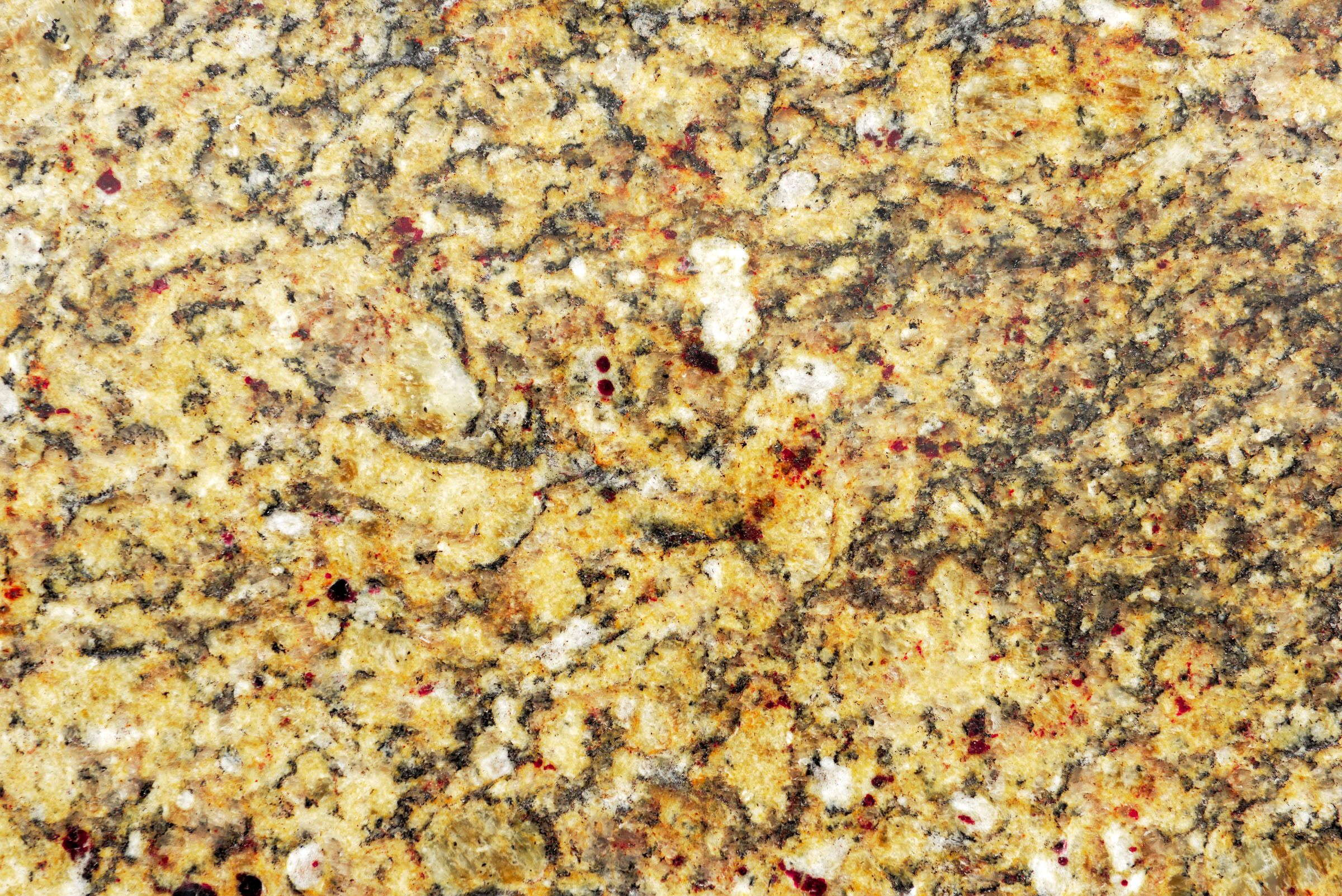 New Venetian Gold Granite in 2cm | Bedrosians Tile & Stone