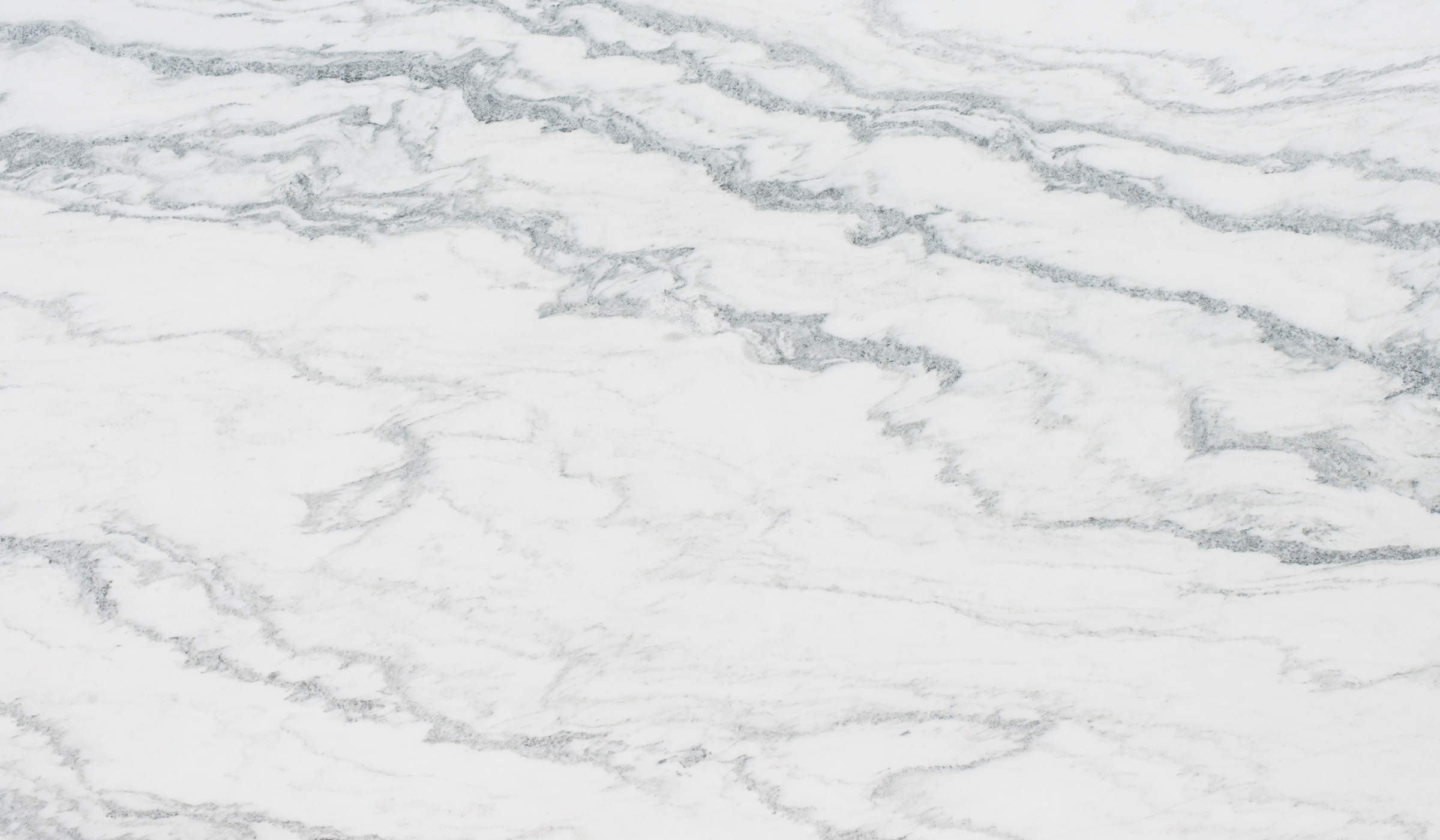 Montclair Danby Marble in 3cm | Bedrosians Tile & Stone