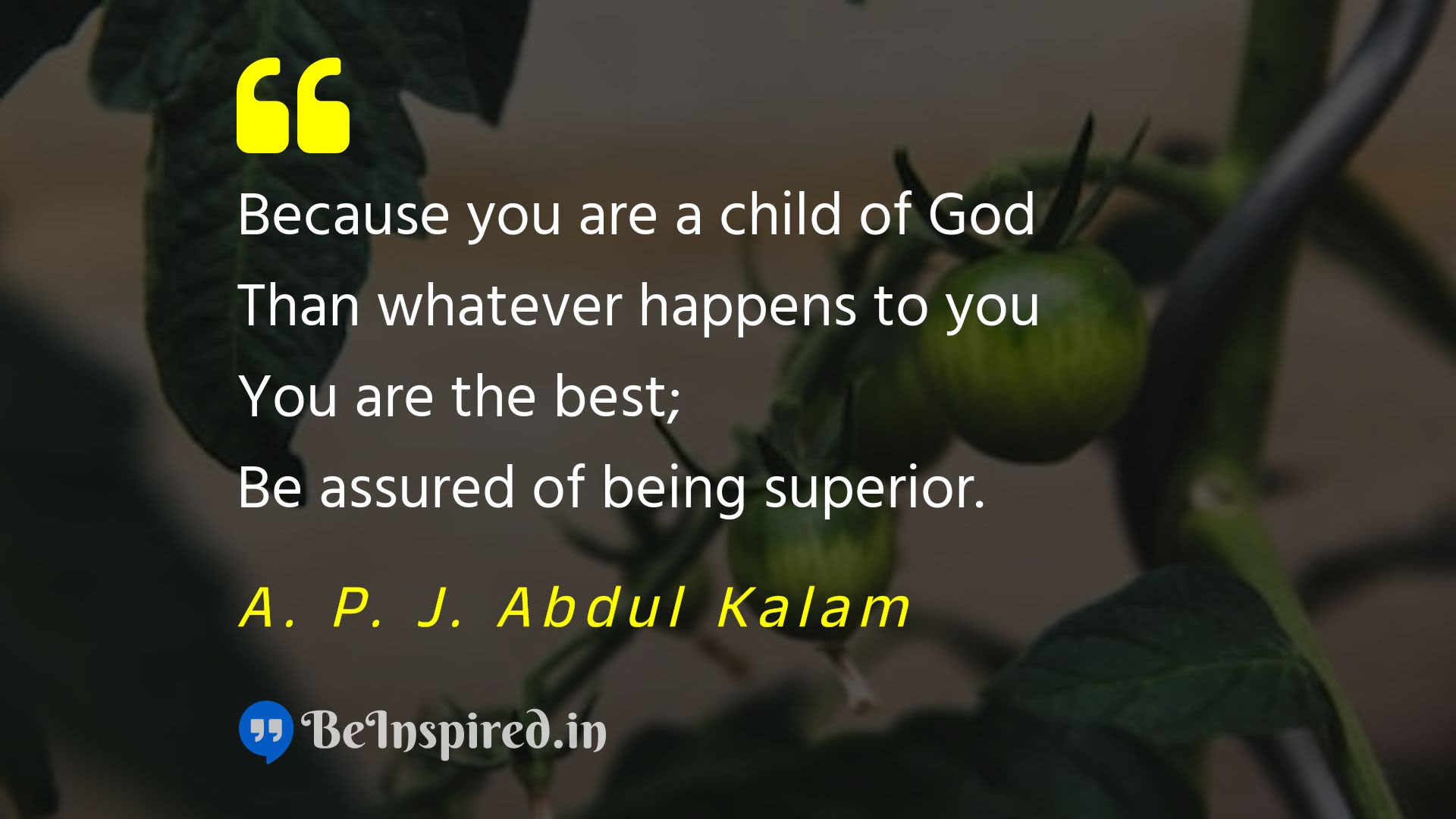 Top Quotes of Abdul Kalam To Ignite Your Ambition | BeInspired.in