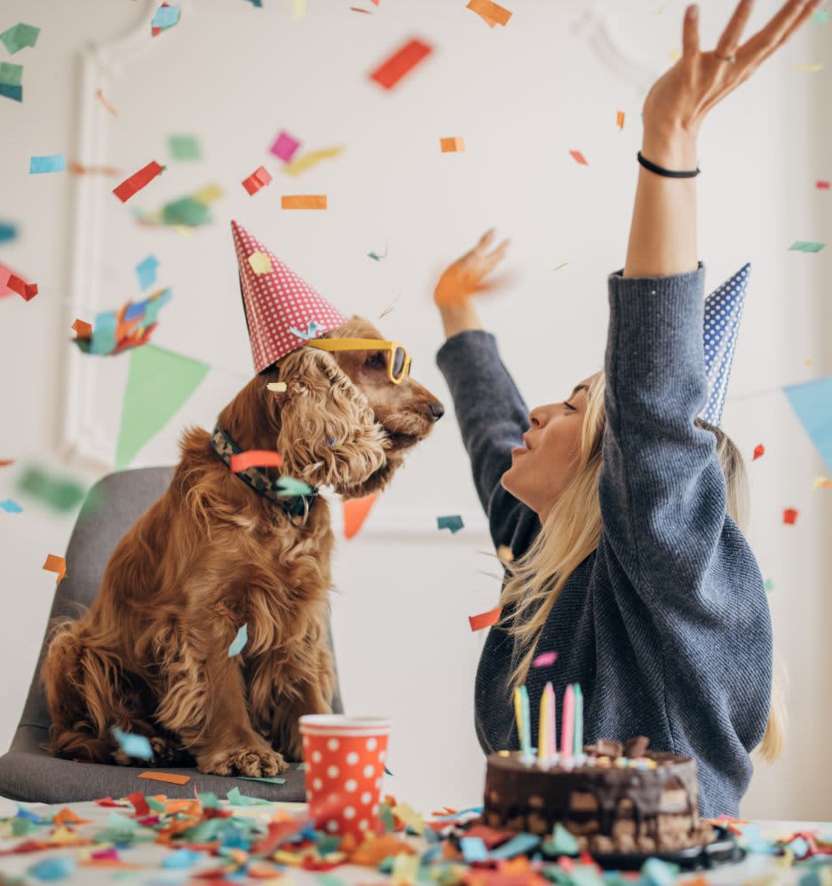 Signo do pet: a astrologia explica a personalidade do bichinho - Beleza ...