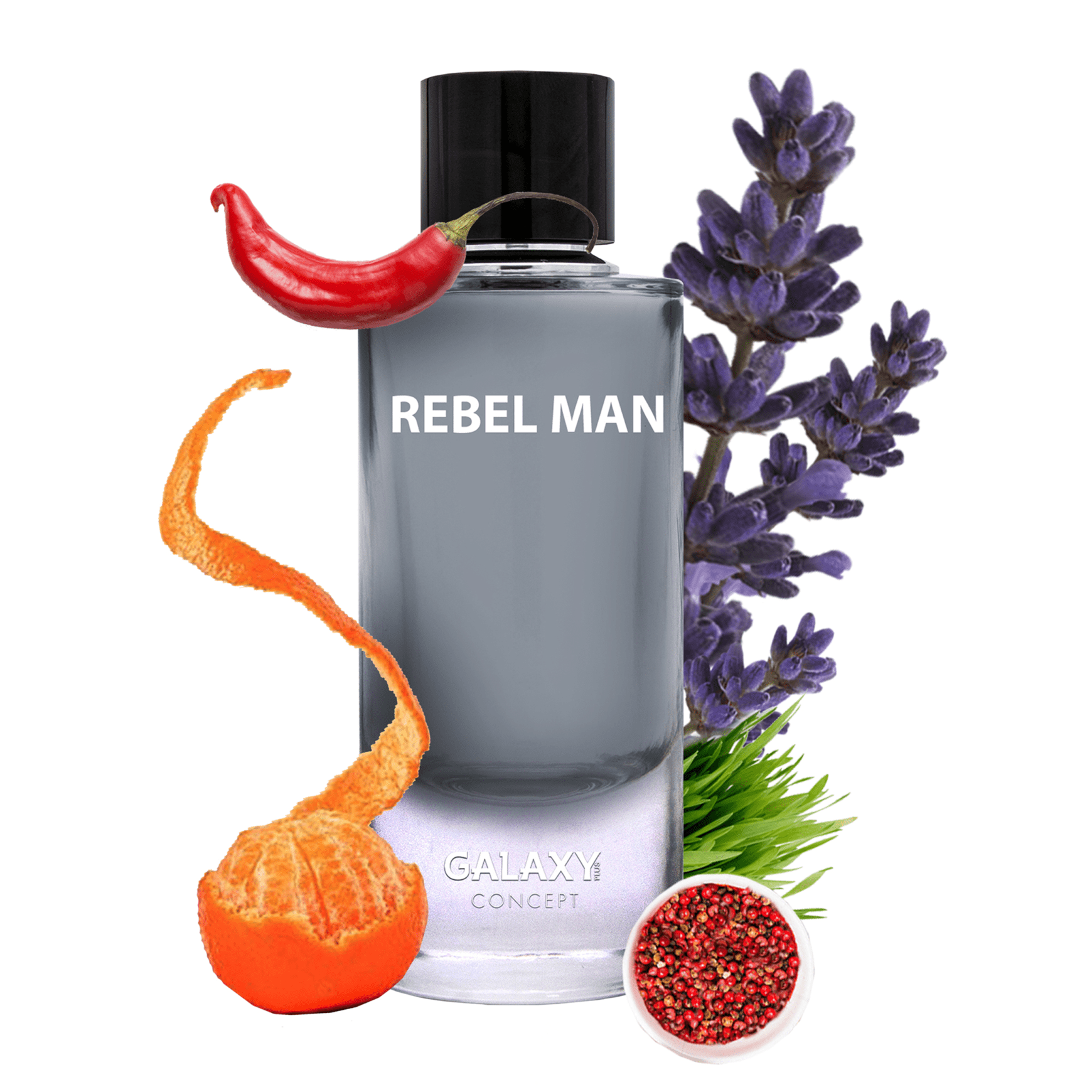 Perfume Rebel Men Galaxy Plus Concept | Beleza na Web