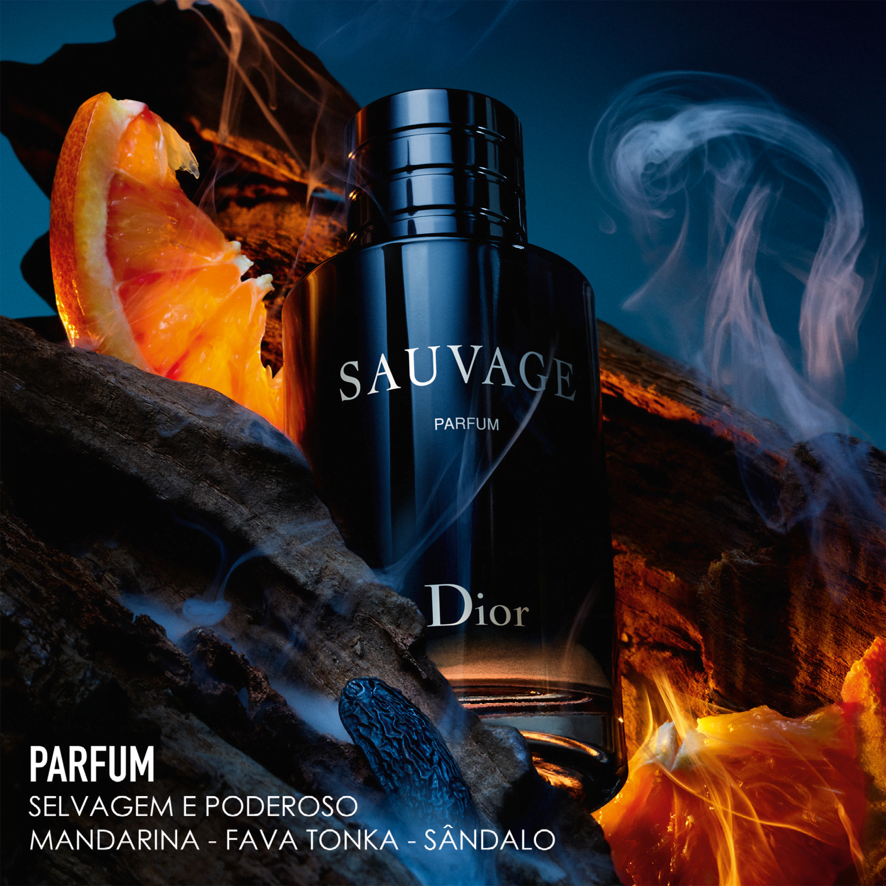 Perfume Importado Sauvage Parfum Dior Masculino | Beleza na Web