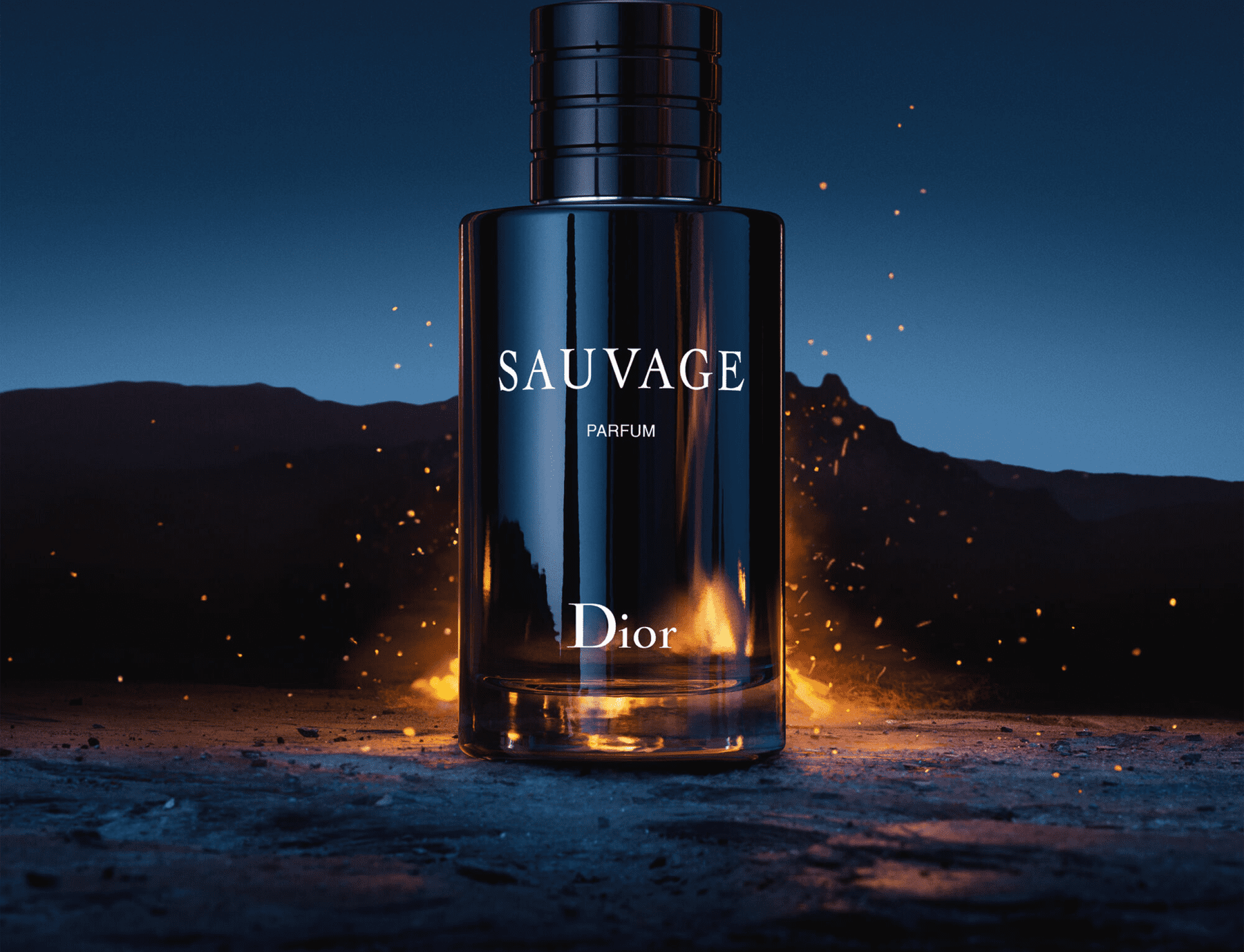Perfume Importado Sauvage Parfum Dior Masculino | Beleza na Web