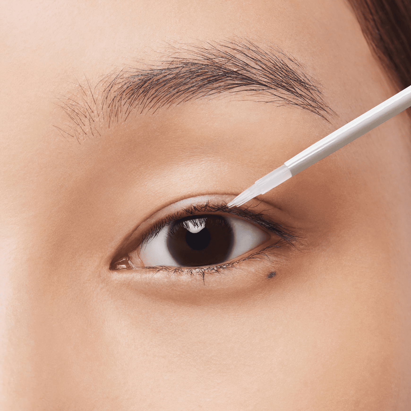 Tratamento para Cílios e Sobrancelhas Estée Lauder Turbo Lash Revitalizing | Beleza na Web