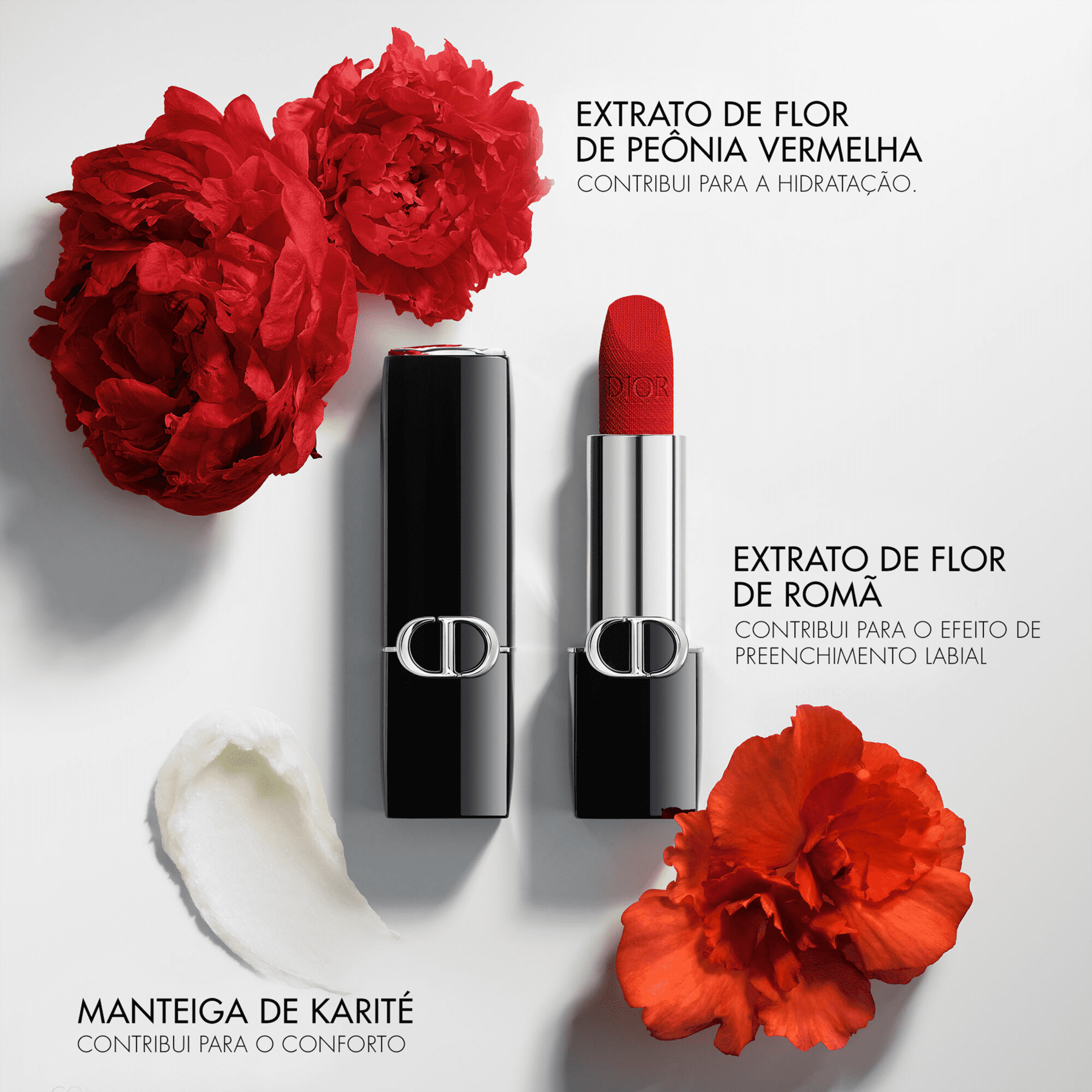 Batom Dior Rouge | Beleza na Web