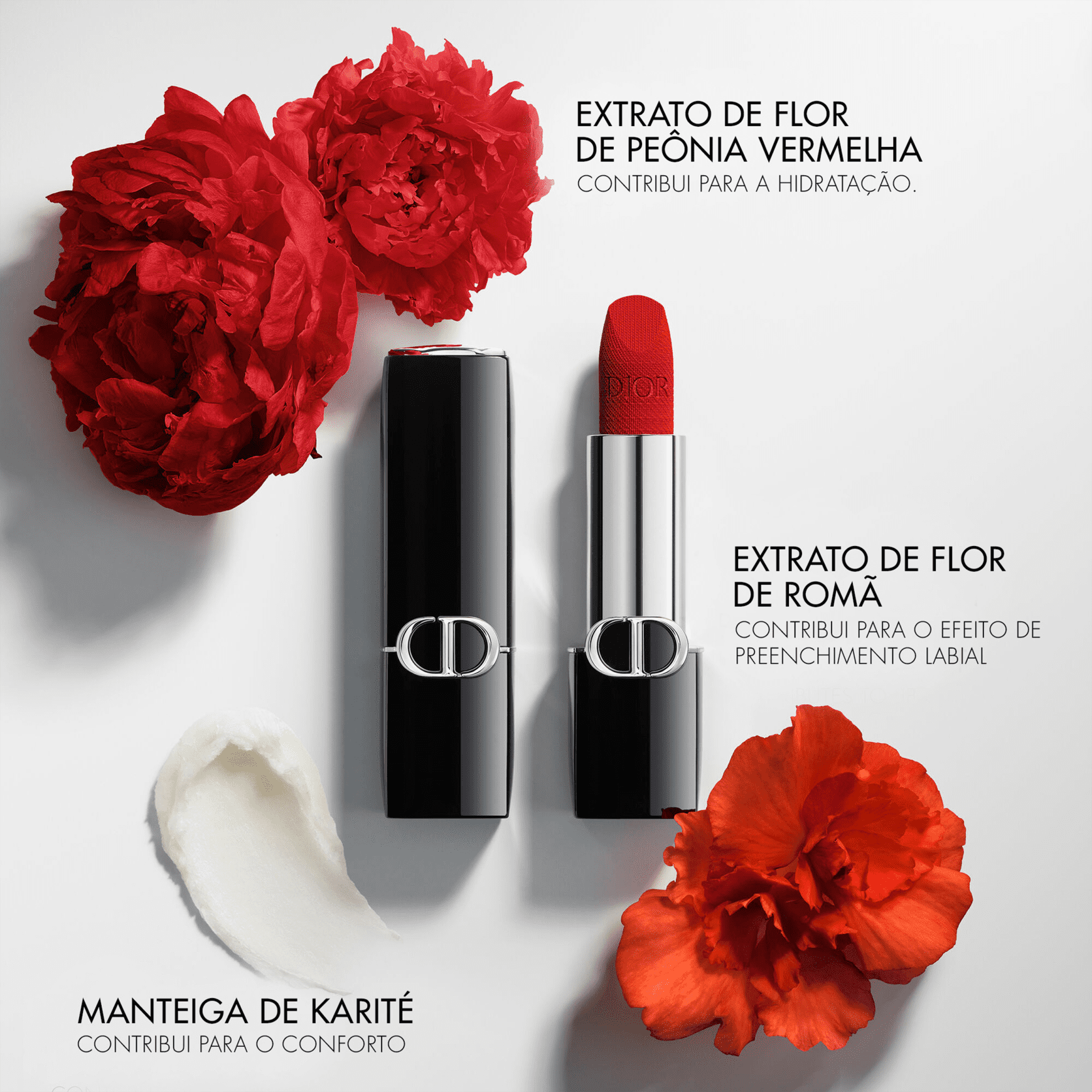 Batom Dior Rouge | Beleza na Web