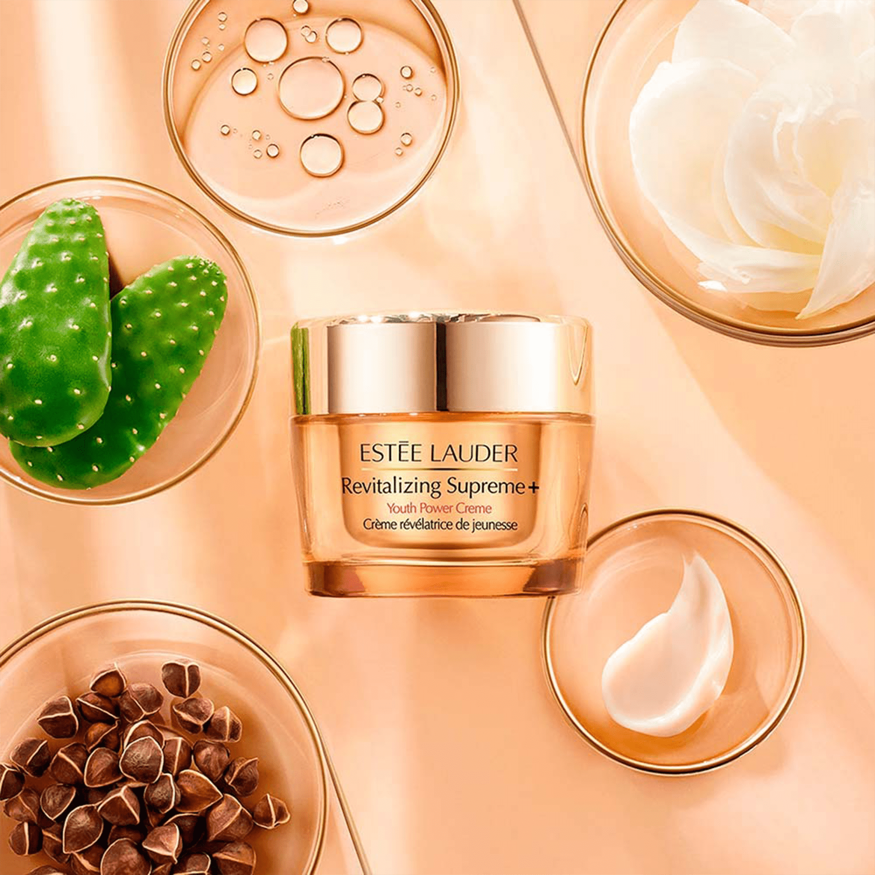 Kit Estée Lauder Celebration | Beleza Na Web