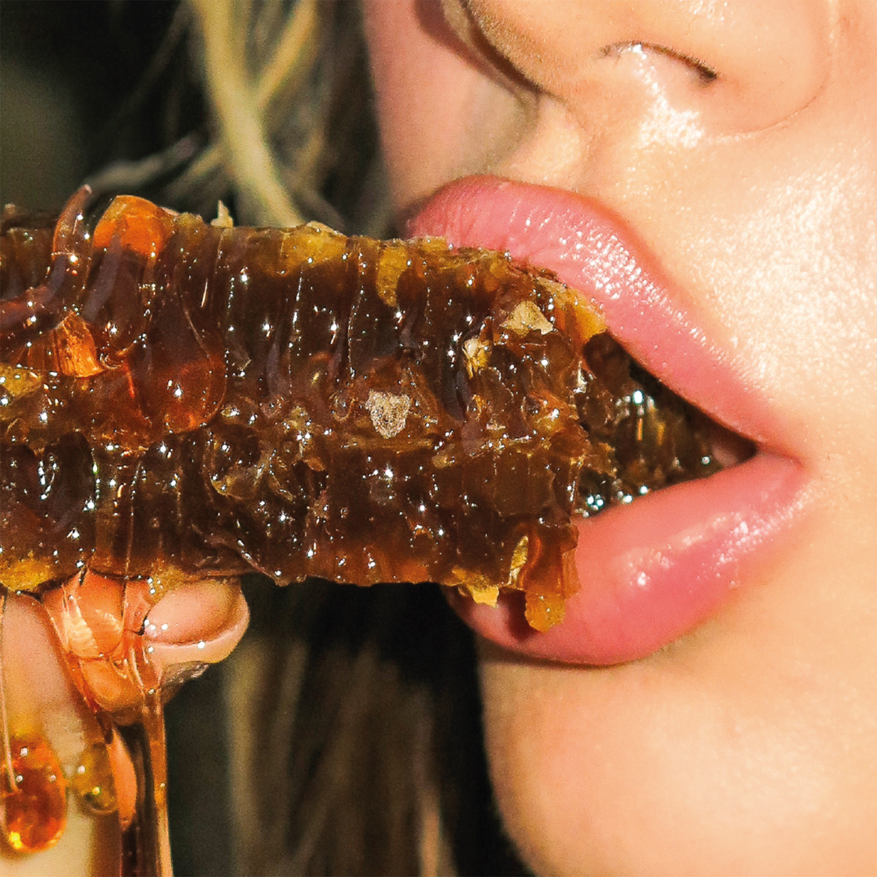 Fran by Franciny Ehlke LipHoney Gloss Labial | Beleza Na Web PRO Pro