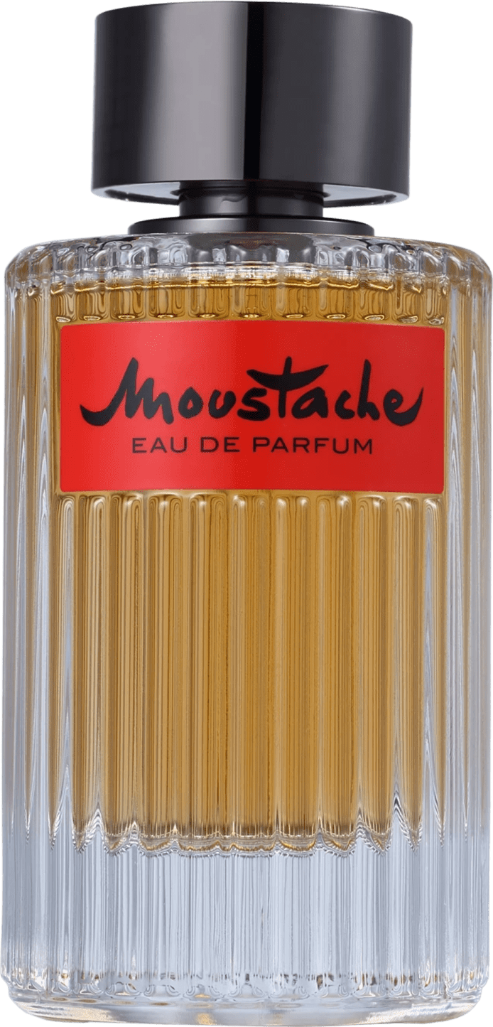 Perfume Moustache Rochas Masculino | Beleza na Web